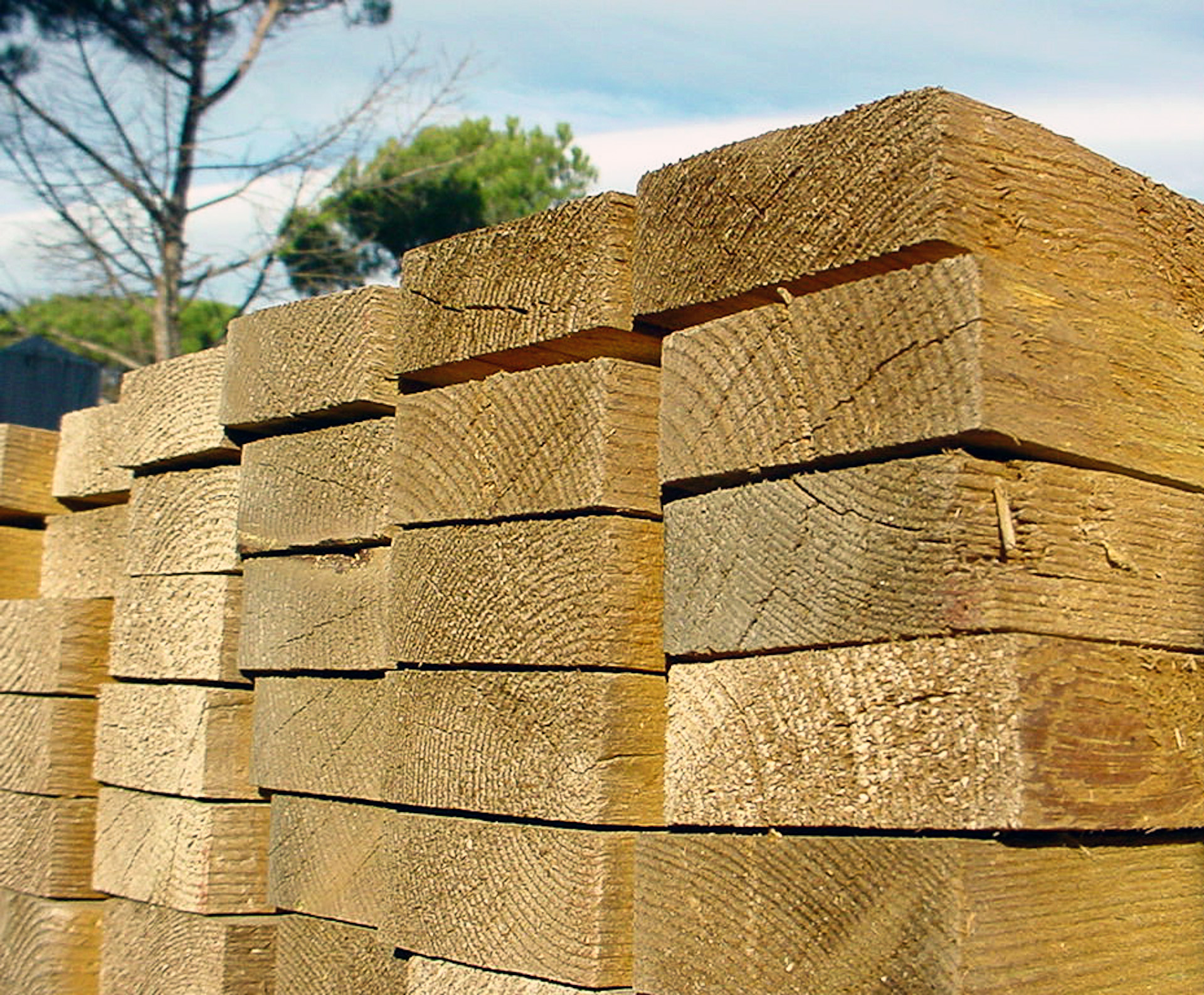 FUSTA DE PI TRACTADA